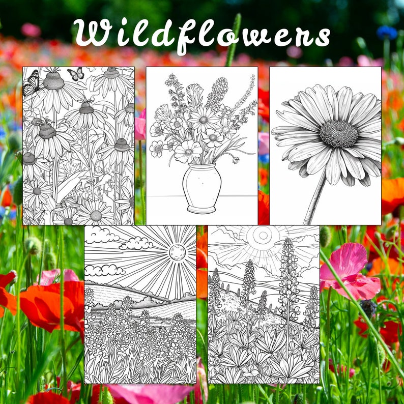 24 Wildflowers Coloring Page, Flowers Coloring Book, Wildflower ...