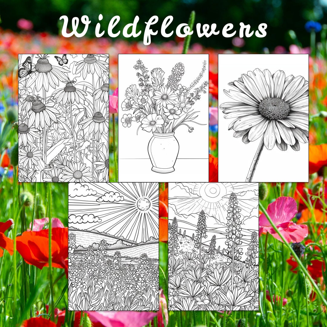 24 Wildflowers Coloring Page, Flowers Coloring Book, Wildflower ...