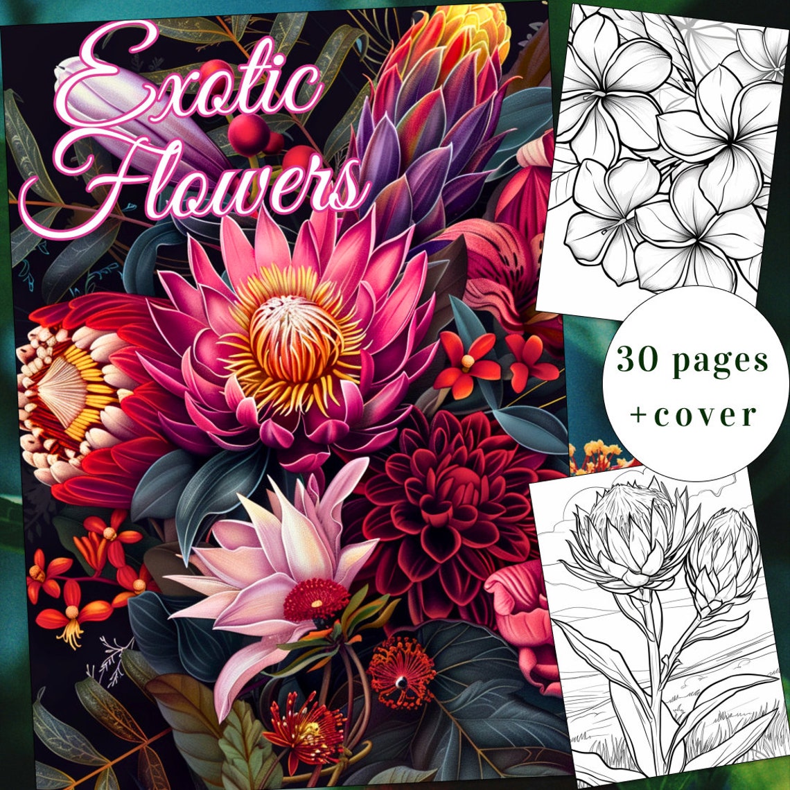 30 Exotic Flowers Coloring Page, Flowers Coloring Book, Exotic Coloring ...