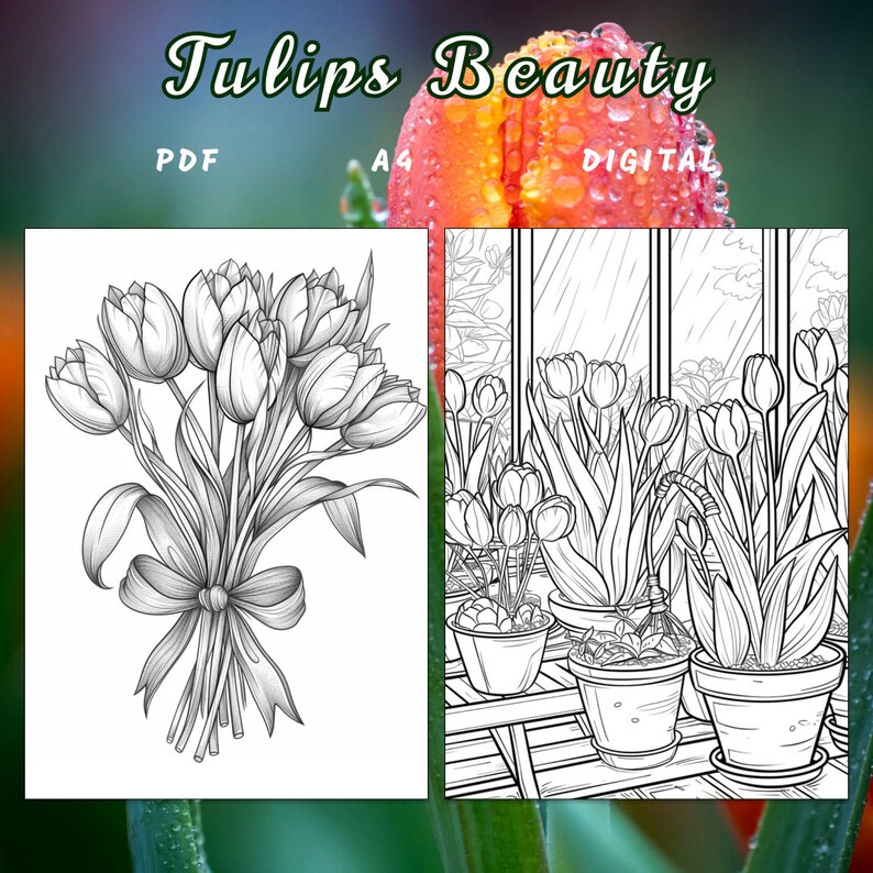 20 Tulips Beauty Coloring Page, Flowers Coloring Book, Tulips Coloring ...