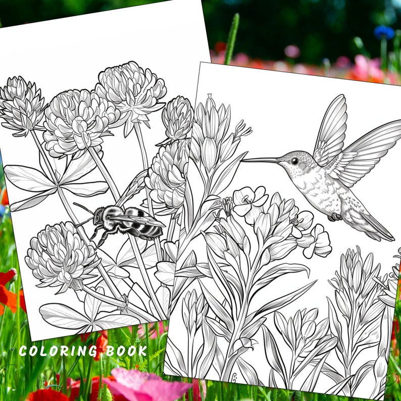 24 Wildflowers Coloring Page, Flowers Coloring Book, Wildflower ...