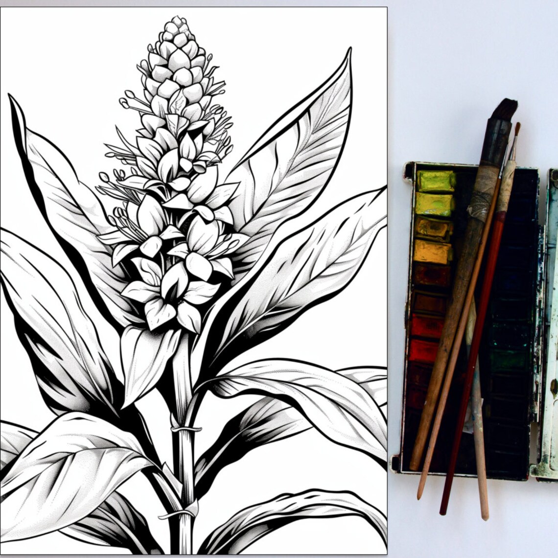 30 Exotic Flowers Coloring Page, Flowers Coloring Book, Exotic Coloring ...