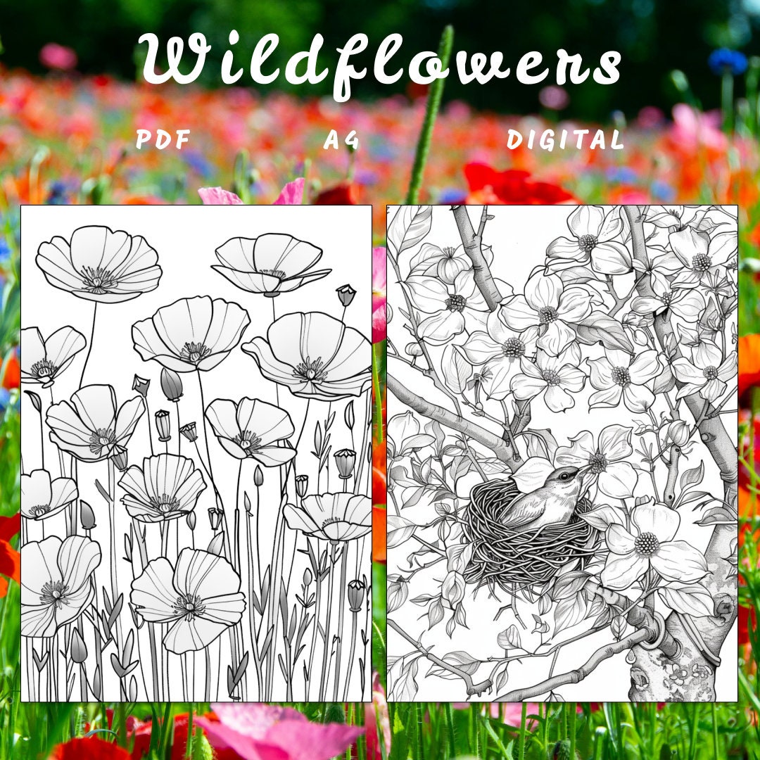 24 Wildflowers Coloring Page, Flowers Coloring Book, Wildflower ...