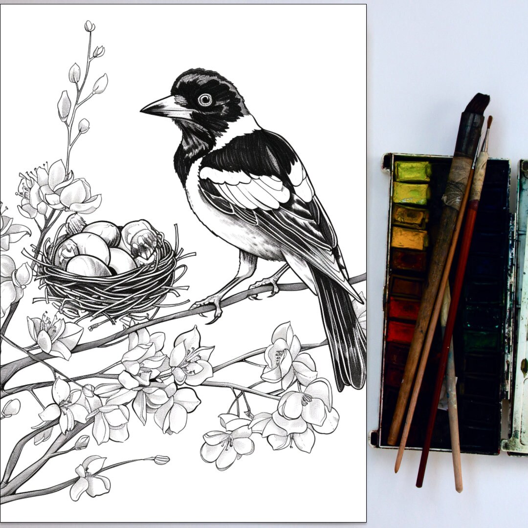 23 Spring Bird Coloring Page, Fantasy Coloring, Spring Coloring, Adults ...