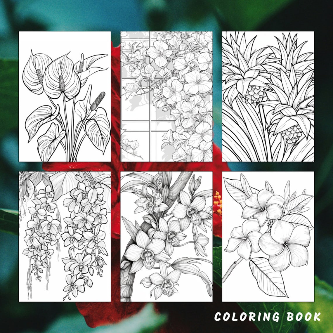 30 Exotic Flowers Coloring Page, Flowers Coloring Book, Exotic Coloring ...