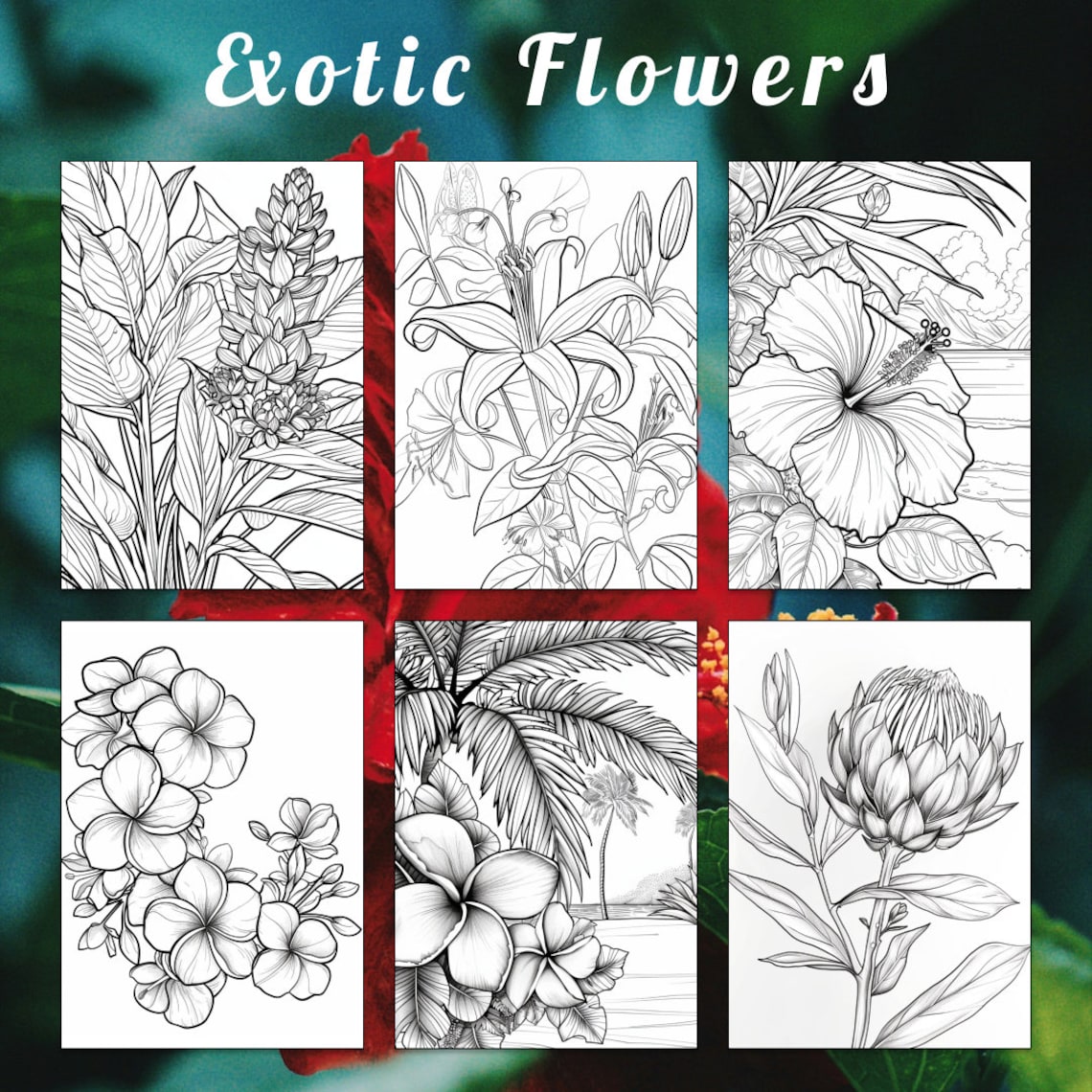 30 Exotic Flowers Coloring Page, Flowers Coloring Book, Exotic Coloring ...