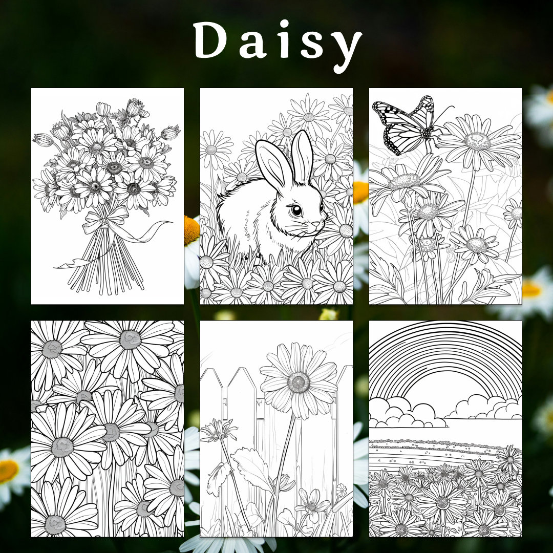 28 Daisy Coloring Page, Flowers Coloring Book, Daisies Coloring, Adults ...