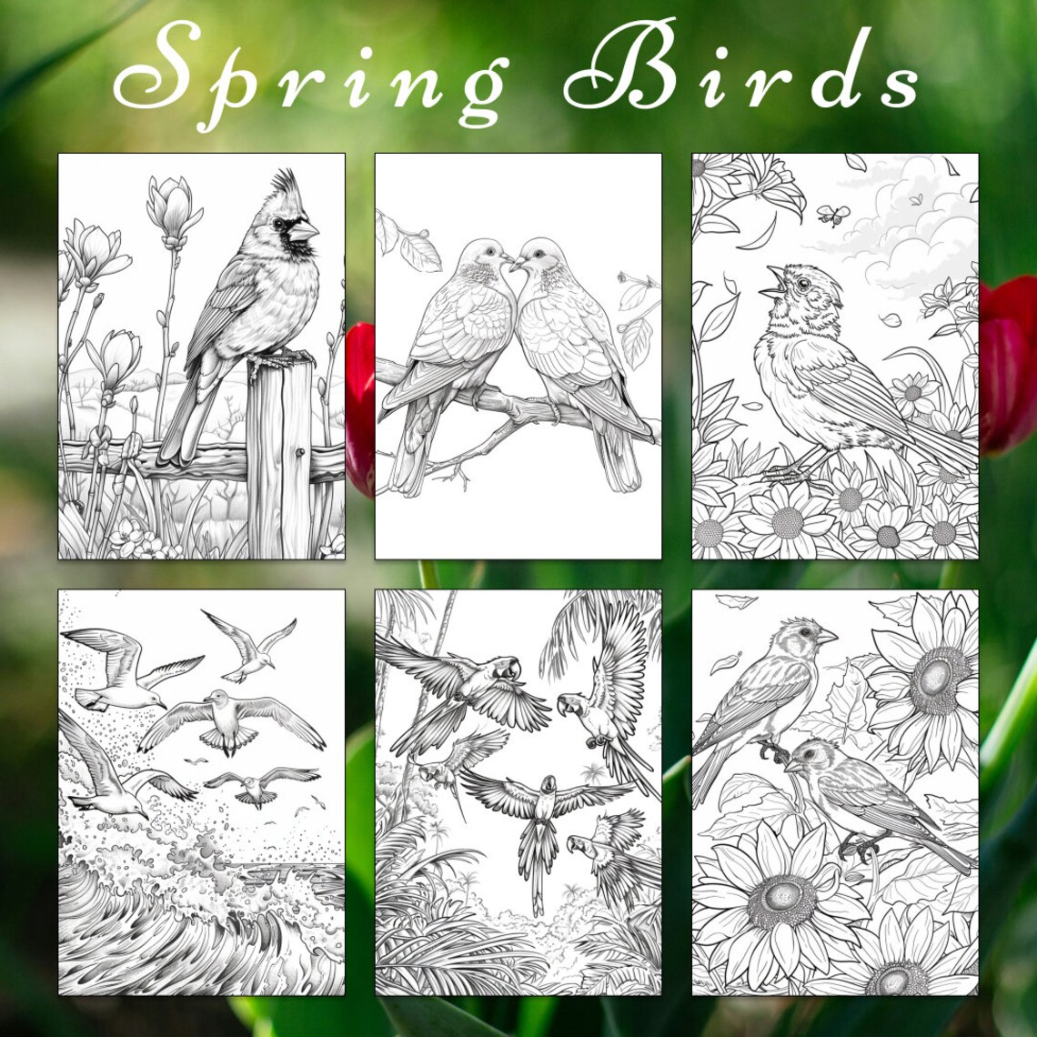 23 Spring Bird Coloring Page, Fantasy Coloring, Spring Coloring, Adults ...