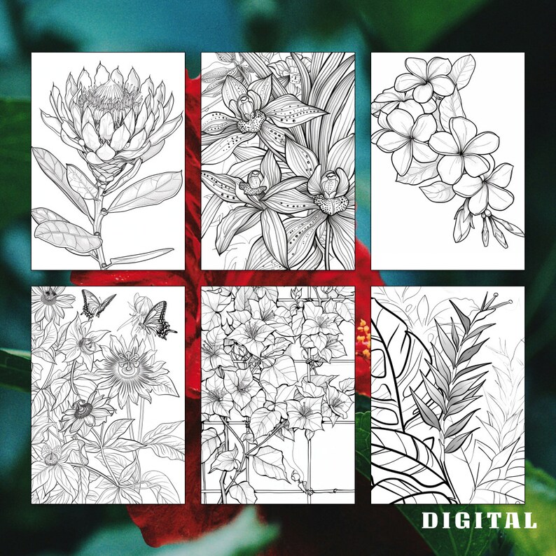 30 Exotic Flowers Coloring Page, Flowers Coloring Book, Exotic Coloring ...