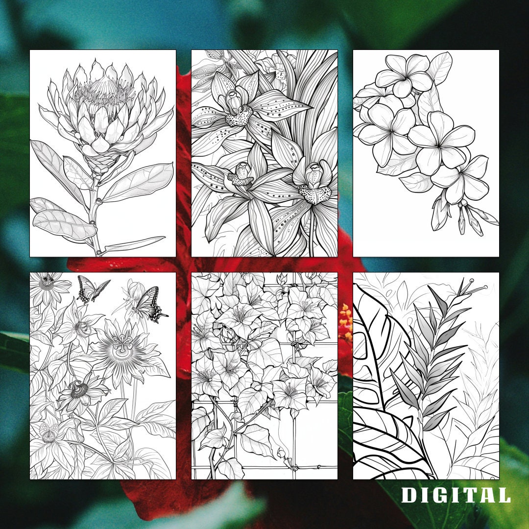 30 Exotic Flowers Coloring Page, Flowers Coloring Book, Exotic Coloring ...