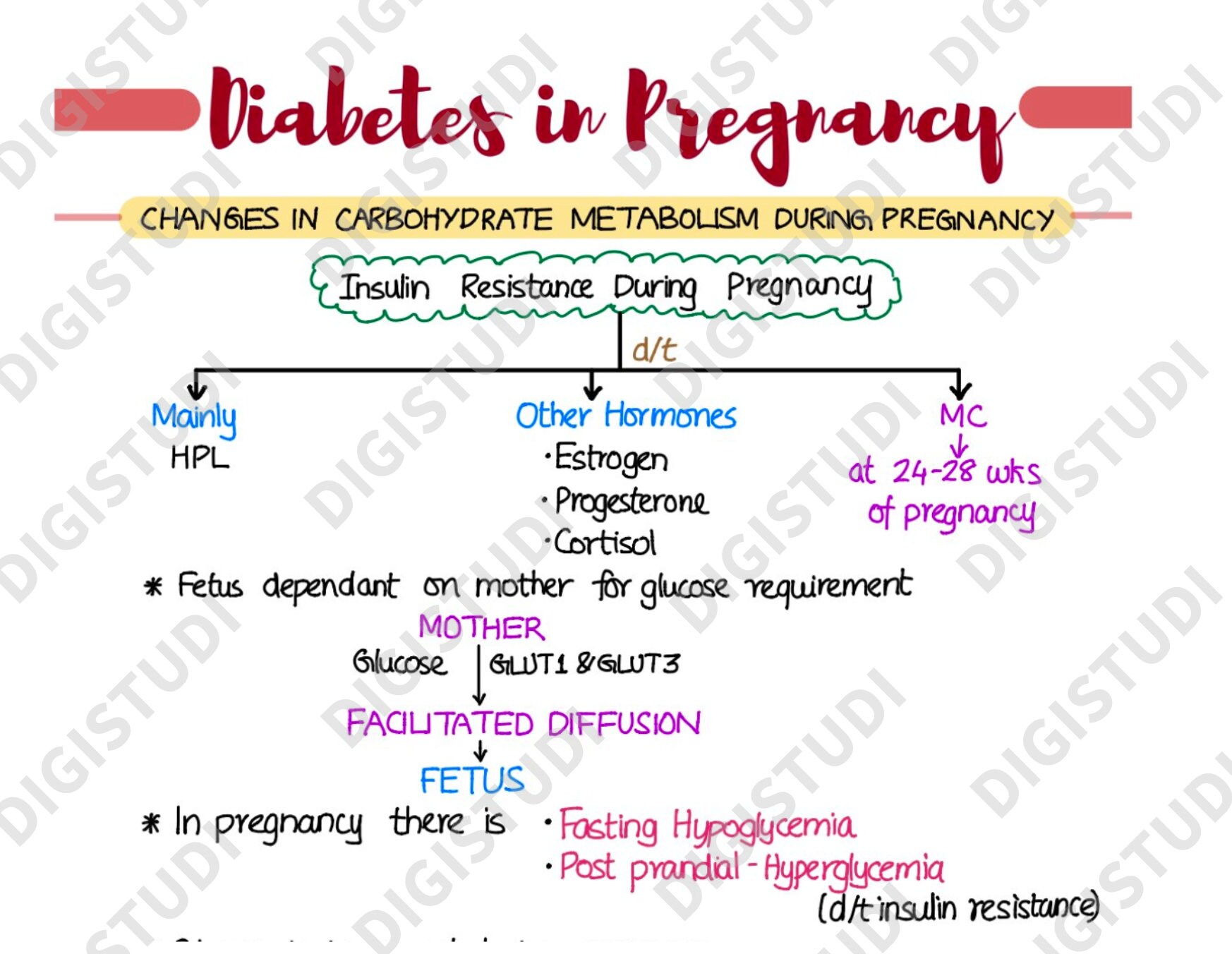 OB & Maternity Bundle Study Guide Complete Obstetrics Maternity Study ...