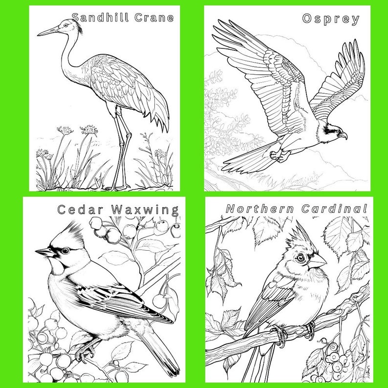 50 Printable Cute Coloring Pages Animals and Birds Cute and Easy Stress ...