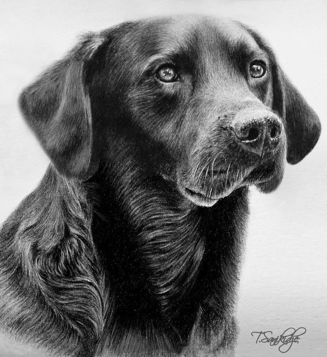 Custom Pet Portrait | Custom Dog Portrait| Pet Commission | Custom ...