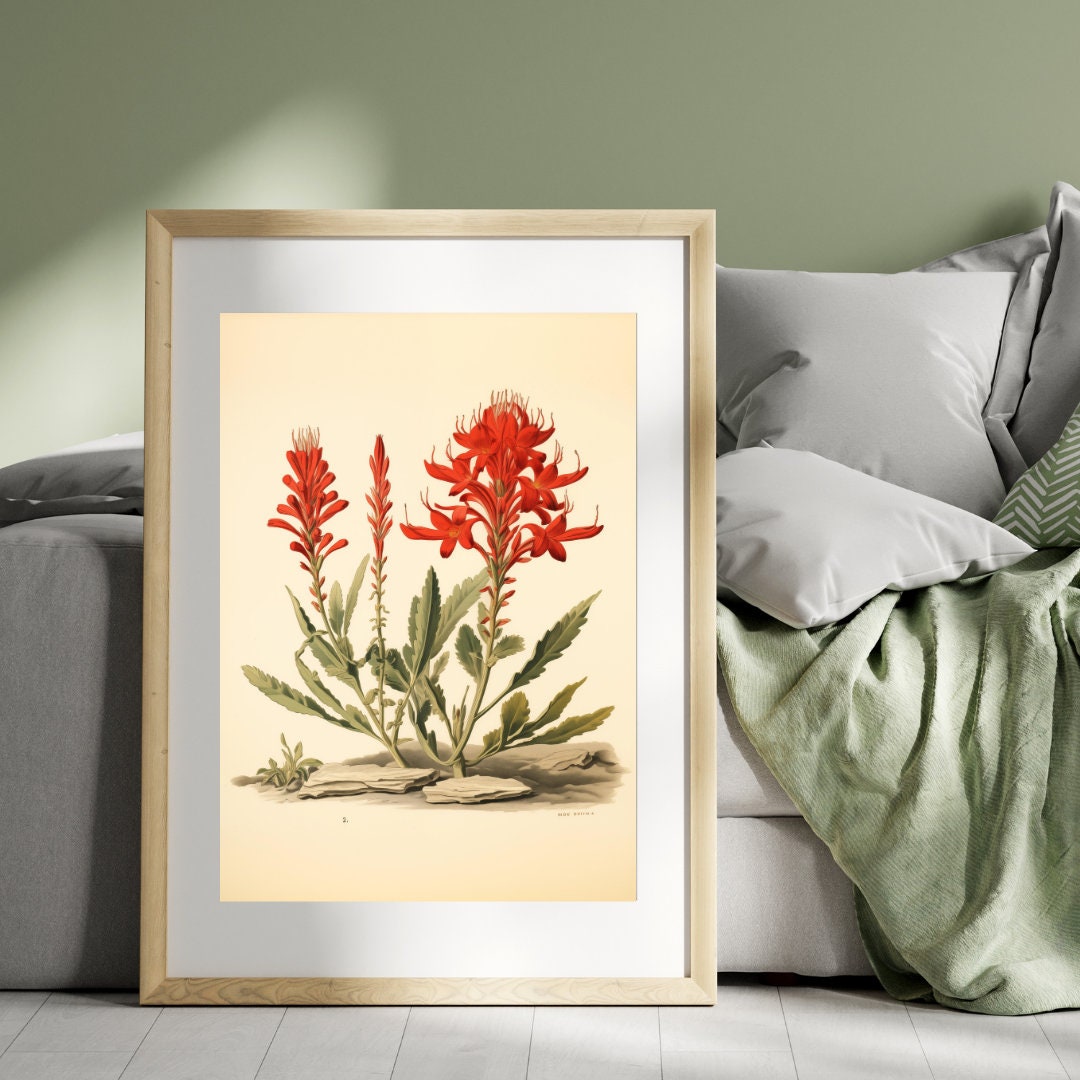 Printable Digital Download Wall Art - Indian Paintbrush - Antique ...