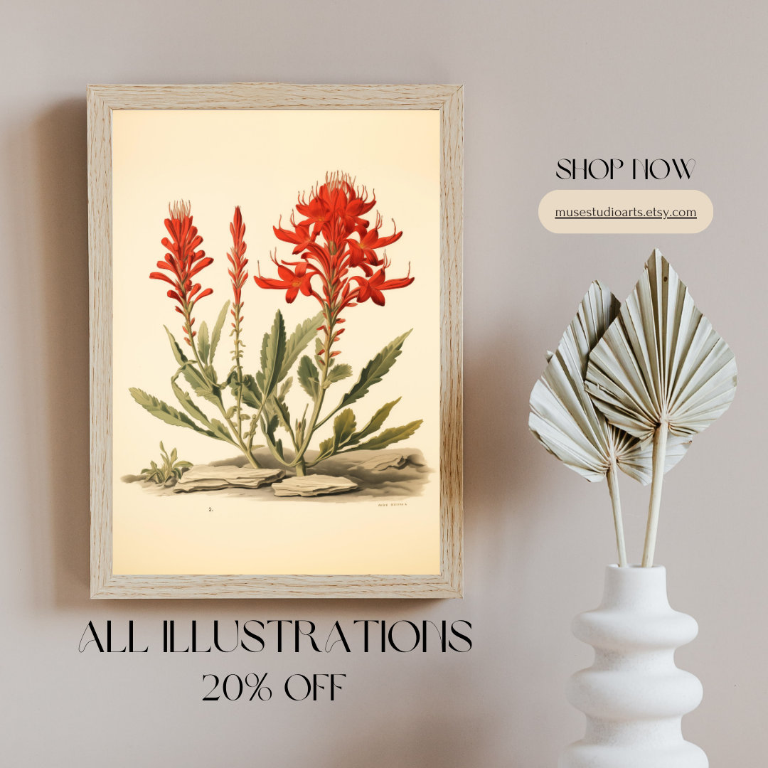 Printable Digital Download Wall Art - Indian Paintbrush - Antique ...