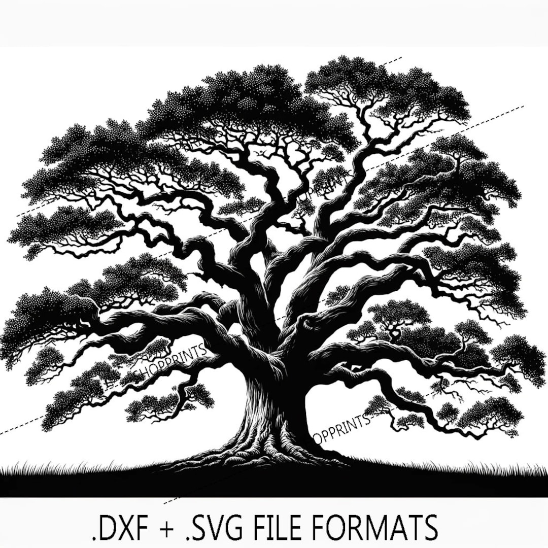 Live Oak Tree - Etsy