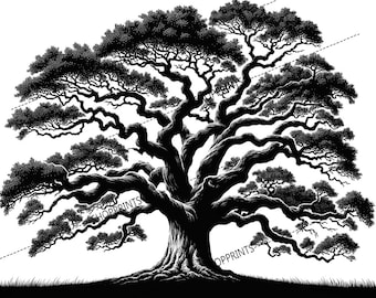 Live Oak Mother Earth Tree - Etsy