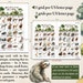 Wildlife Bingo: Embark on a Wild Quest With 50 Unique Printable Cards ...