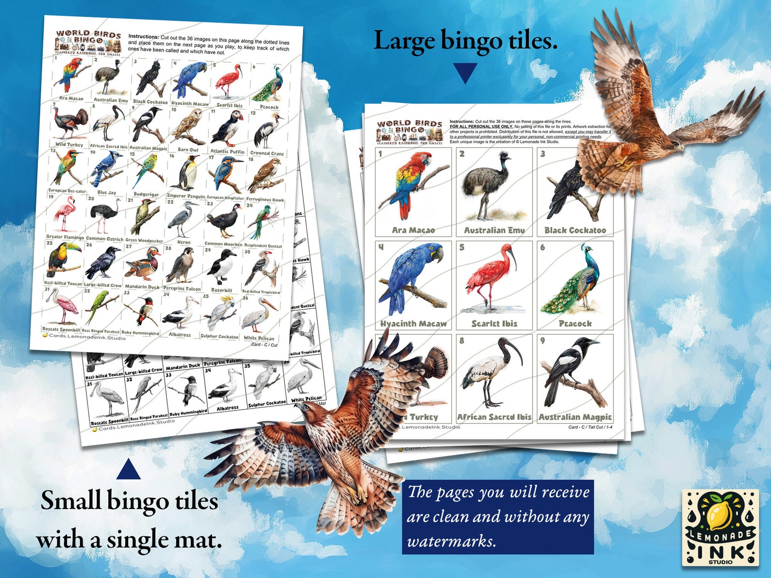World Birds Bingo: Feathered Rainbows With 150 Unique Printable Cards ...