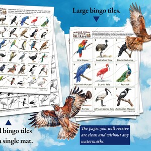 World Birds Bingo: Feathered Rainbows With 150 Unique Printable Cards ...