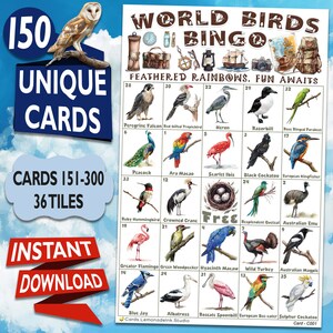 World Birds Bingo: Feathered Rainbows With 150 Unique Printable Cards ...