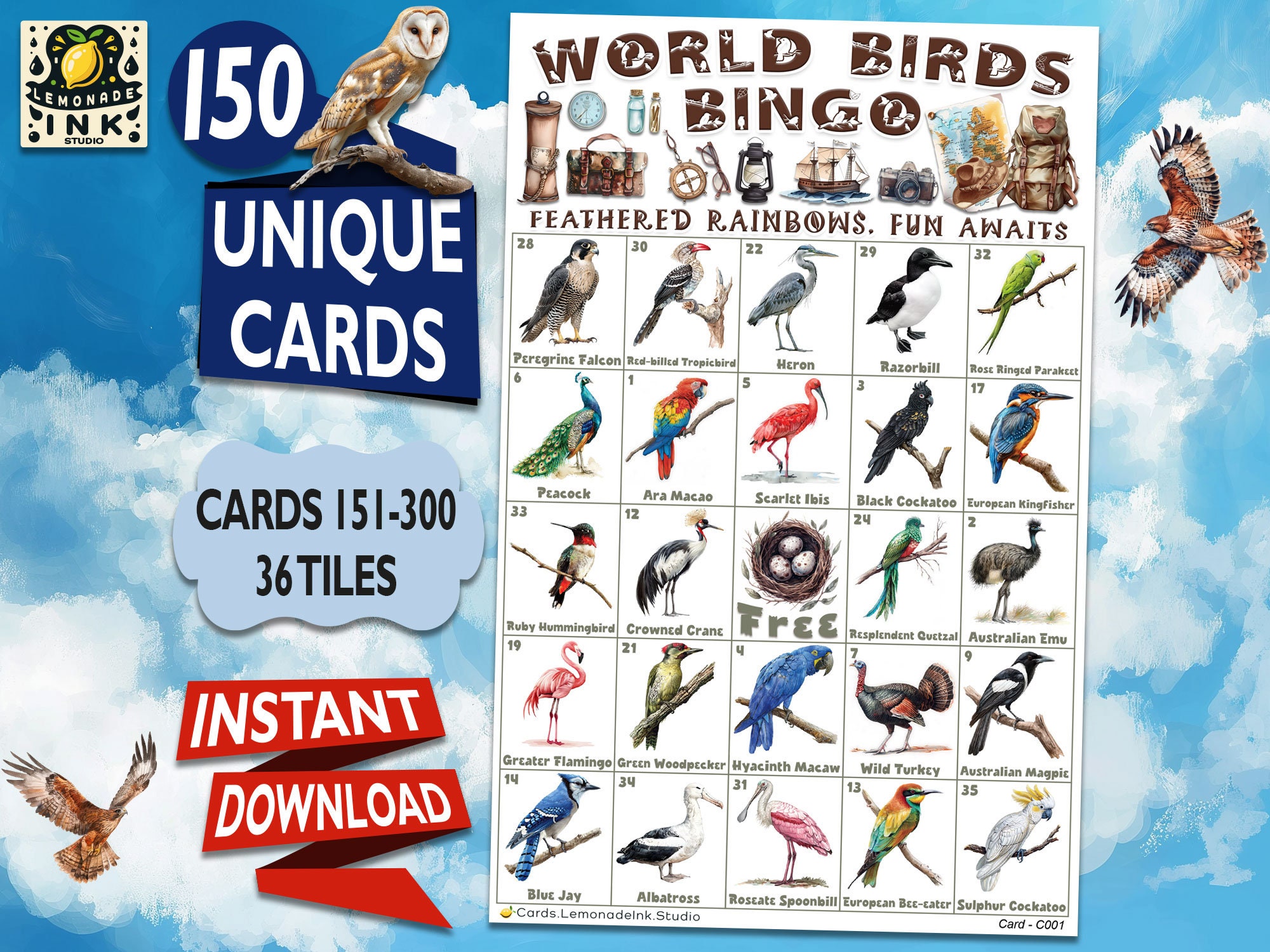World Birds Bingo: Feathered Rainbows With 150 Unique Printable Cards ...