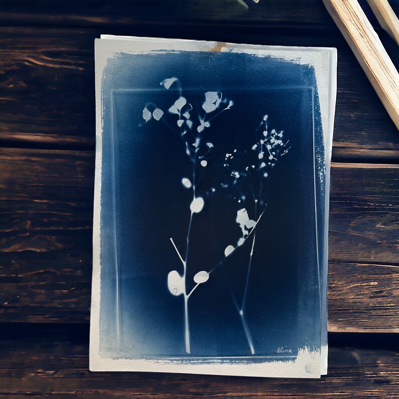 A4 Format Cyanotype Print With Various Flowers and Foliage - Etsy