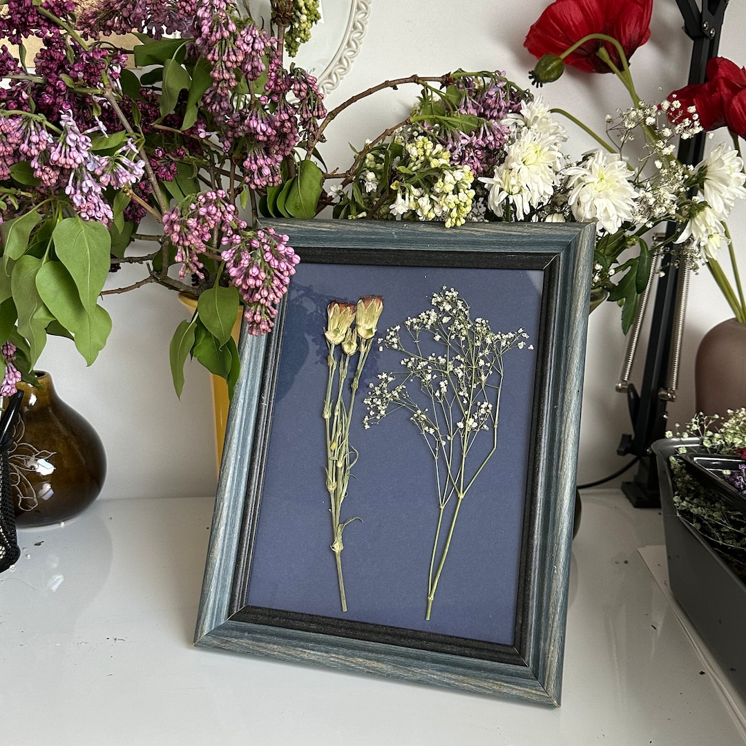 Frame of Dried Flowers With Pressed Carnations - Etsy
