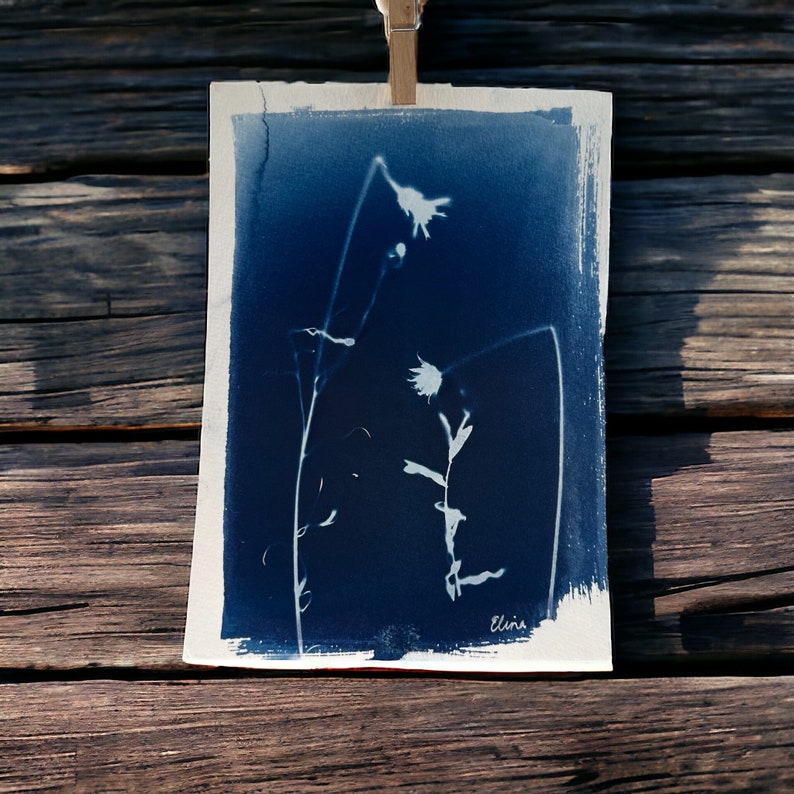 A5 Format Cyanotype Print With Various Flowers and Foliage - Etsy
