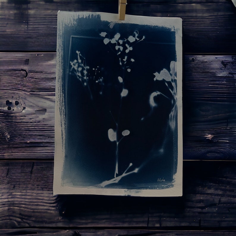 A4 Format Cyanotype Print With Various Flowers and Foliage - Etsy