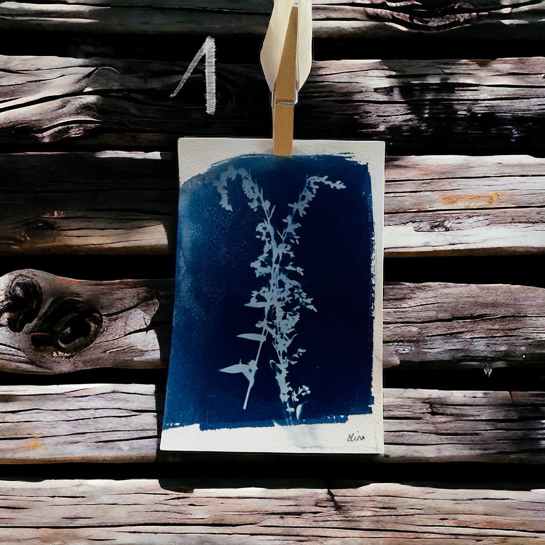 A6 Format Cyanotype Print With Various Flowers and Foliage - Etsy