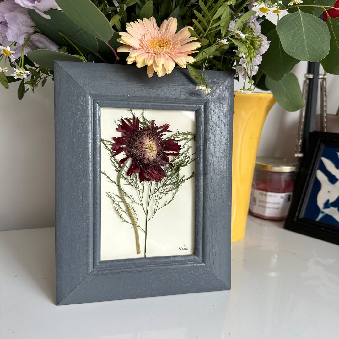 Frame of Dried Flowers With Pressed Gerbera - Etsy