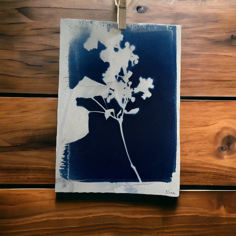 A5 Format Cyanotype Print With Various Flowers and Foliage - Etsy