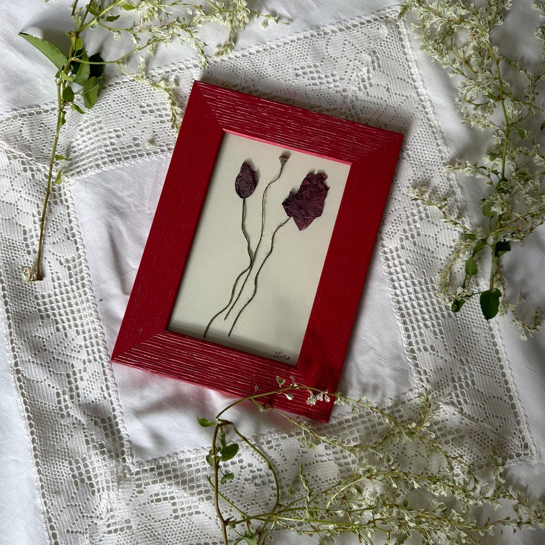 Frame of Dried Flowers With Pressed Carnations - Etsy