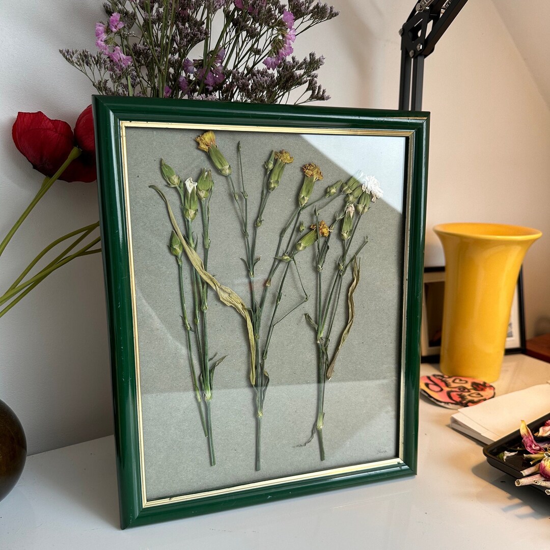 Frame of Dried Flowers With Pressed Carnations - Etsy