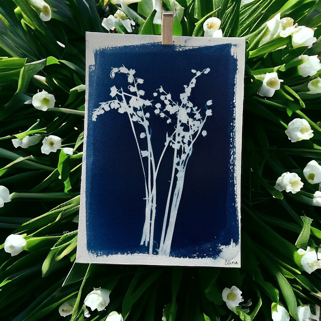 Lily of the Valley A5 Format Cyanotype Print - Etsy