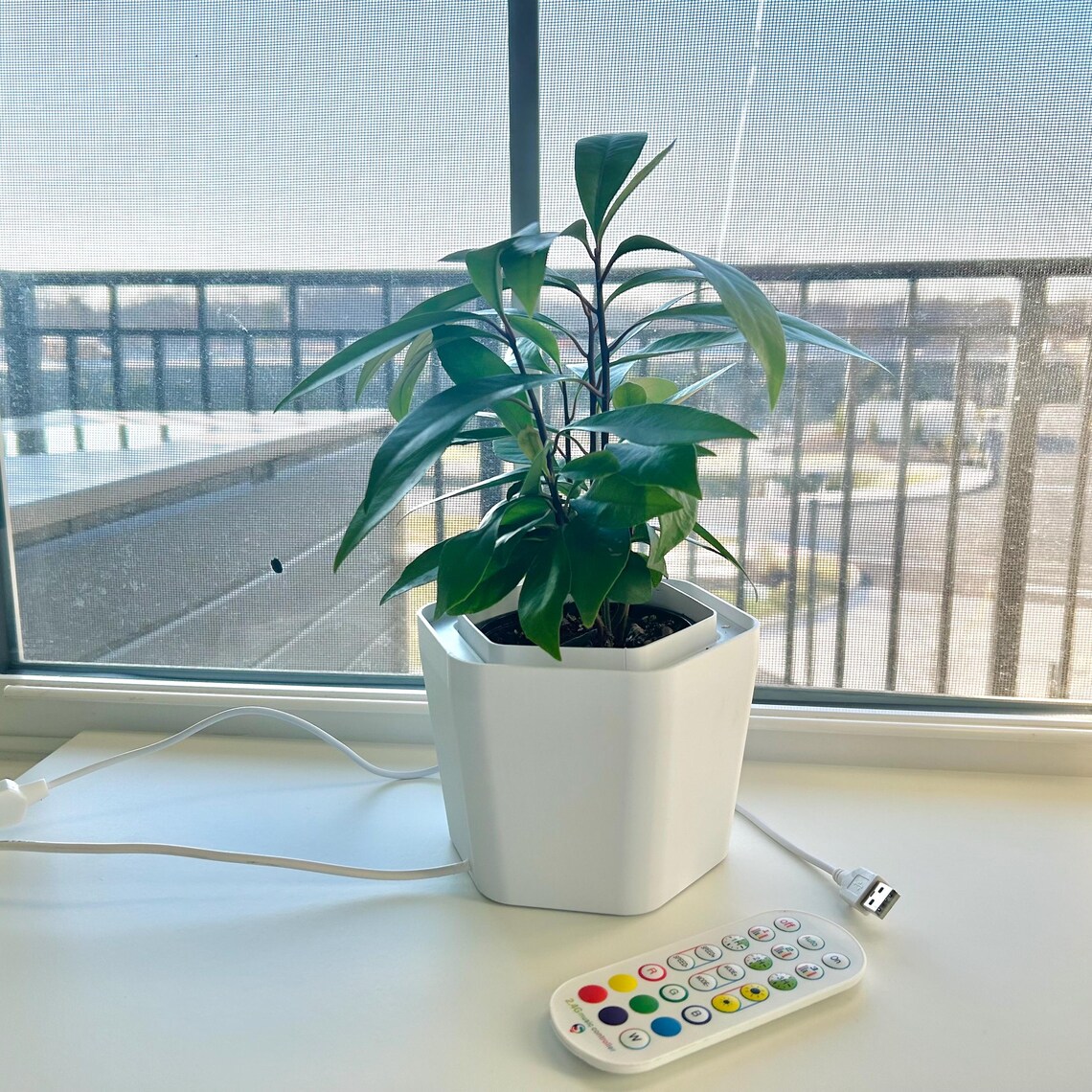 Plantern - Decorative 4" Plant Pot With Light, Modern Minimalistic ...