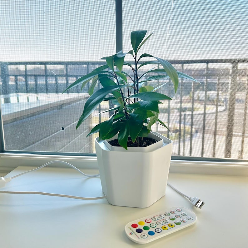 Plantern - Decorative 4" Plant Pot With Light, Modern Minimalistic ...