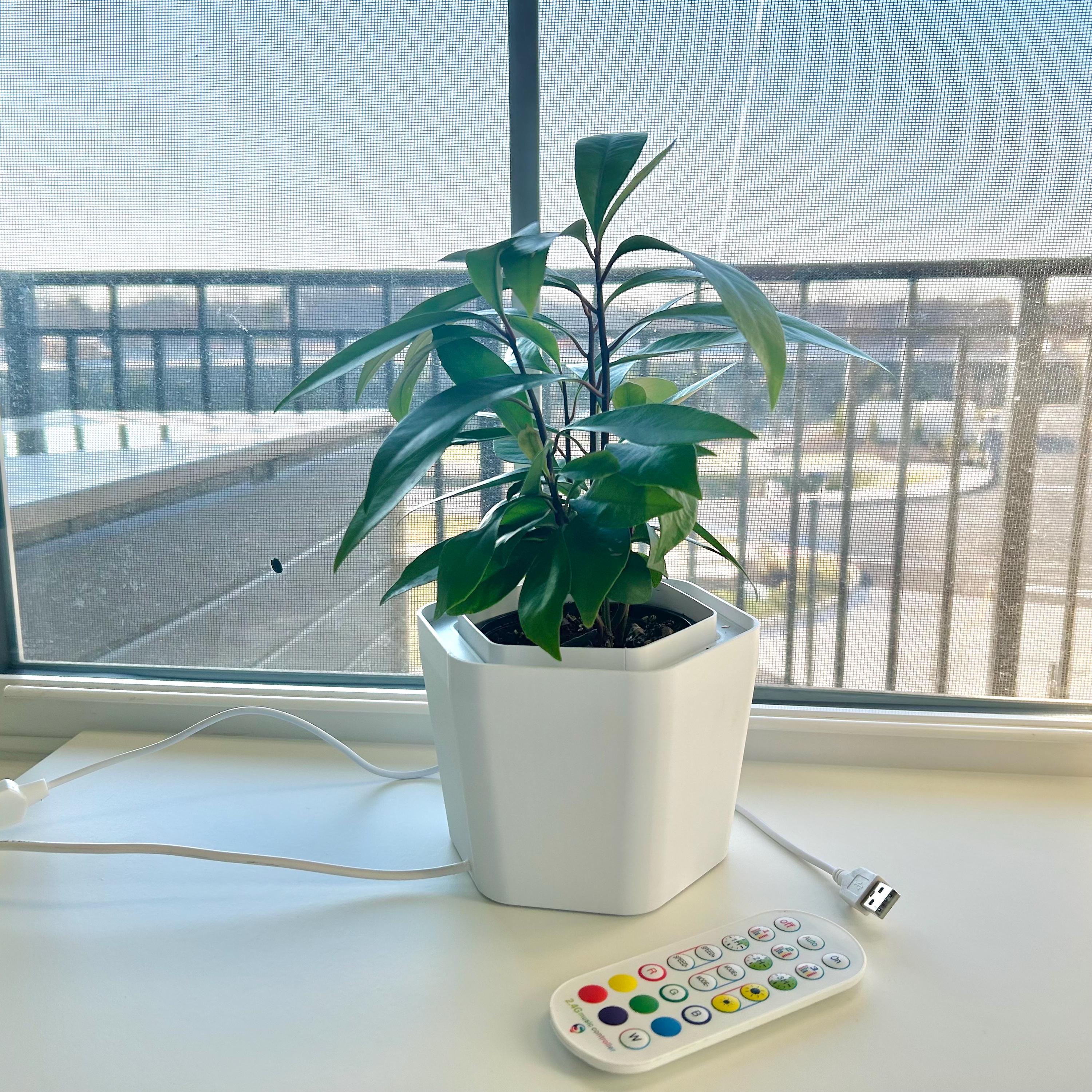 Plantern - Decorative 4" Plant Pot With Light, Modern Minimalistic Magic Planter, USB Night Lamp ...