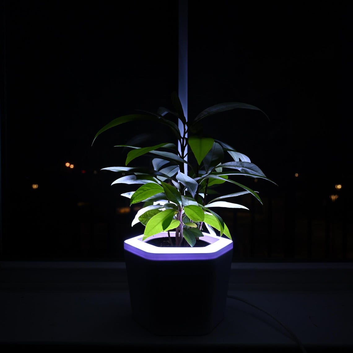 Plantern - Decorative 4" Plant Pot With Light, Modern Minimalistic ...