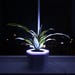 Plantern - Decorative 4" Plant Pot With Light, Modern Minimalistic ...