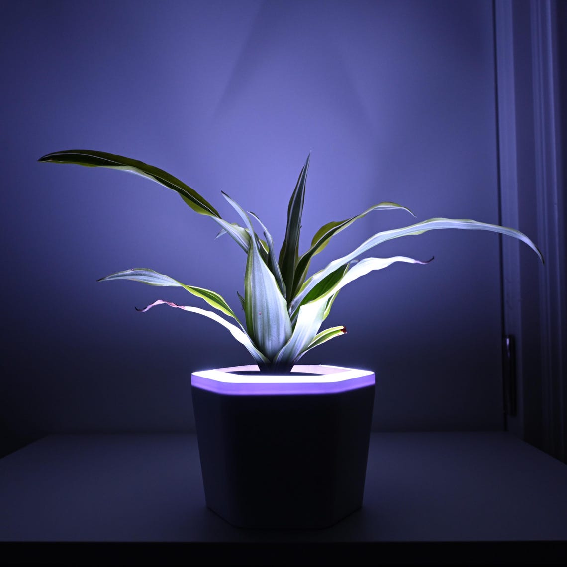 Plantern - Decorative 4" Plant Pot With Light, Modern Minimalistic ...