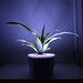 Plantern - Decorative 4" Plant Pot With Light, Modern Minimalistic ...