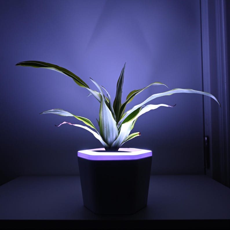 Plantern - Decorative 4" Plant Pot With Light, Modern Minimalistic ...