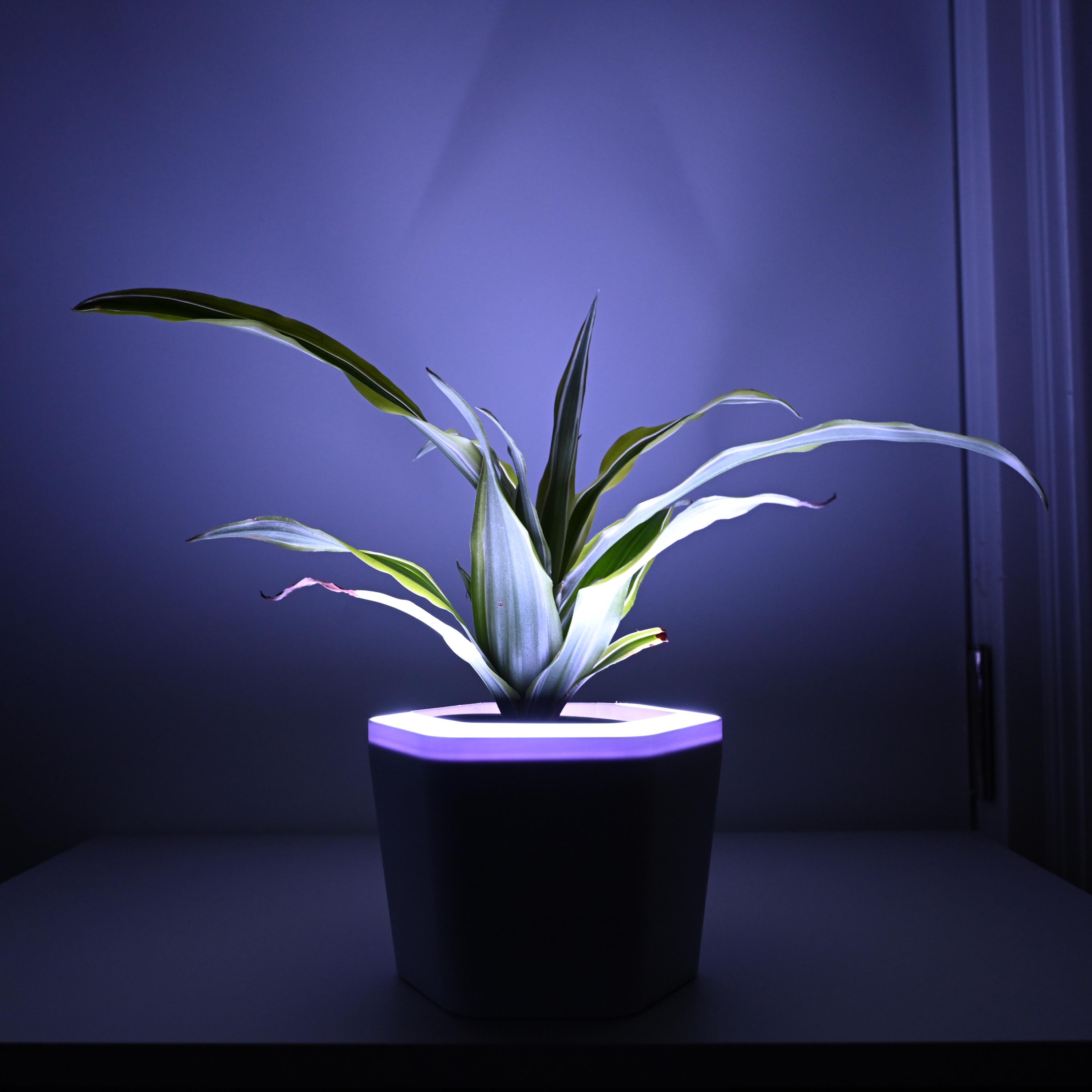 Plantern - Decorative 4" Plant Pot With Light, Modern Minimalistic ...