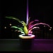 Plantern - Decorative 4" Plant Pot With Light, Modern Minimalistic ...