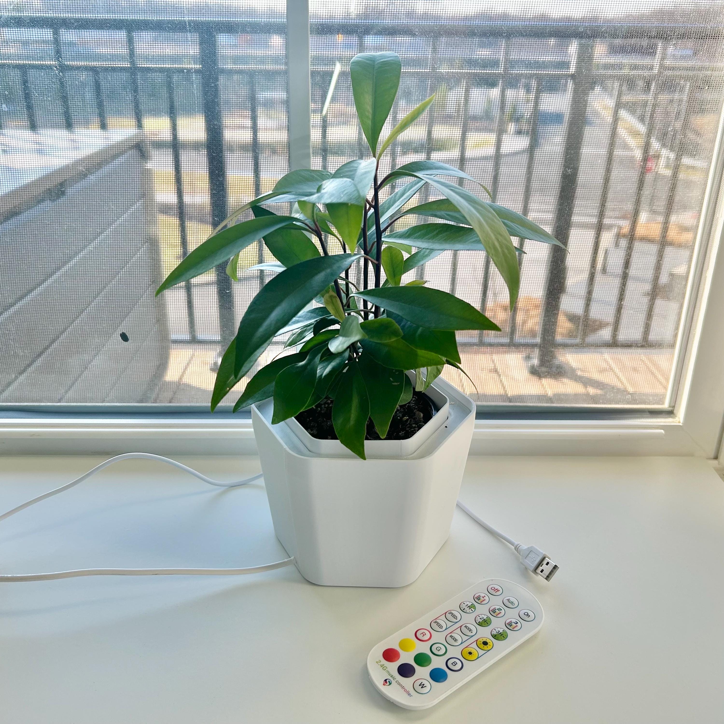 Plantern - Decorative 4" Plant Pot With Light, Modern Minimalistic ...