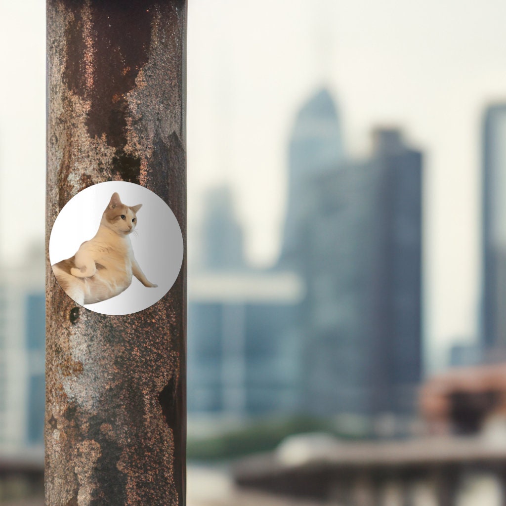 Cat Thinking Meme PNG, Thinking Cat Meme, Funny Cat Meme SVG, Chubby ...