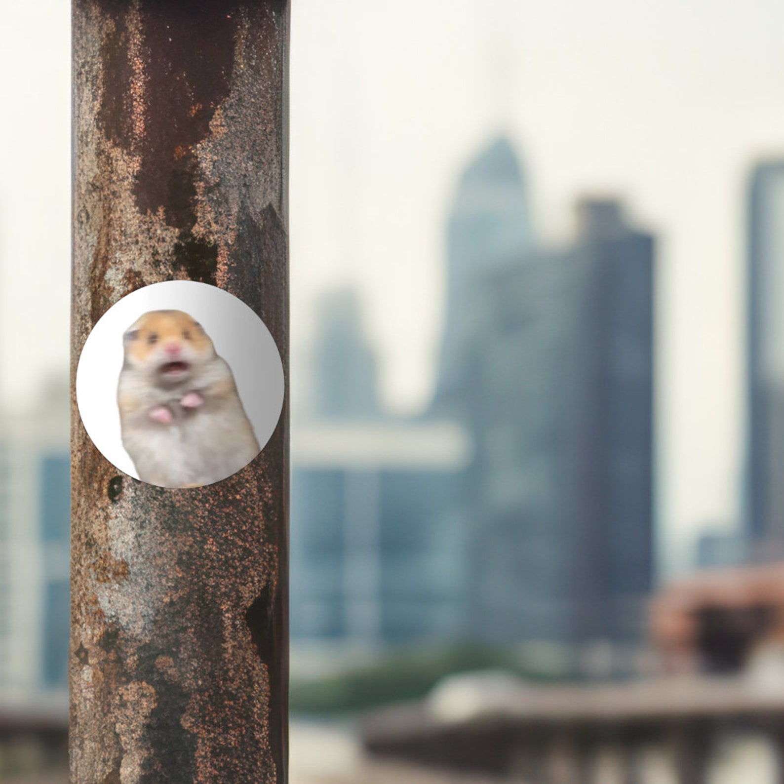 Scared Hamster PNG, Scared Hamster Meme, Scared Hamster SVG, Scared ...