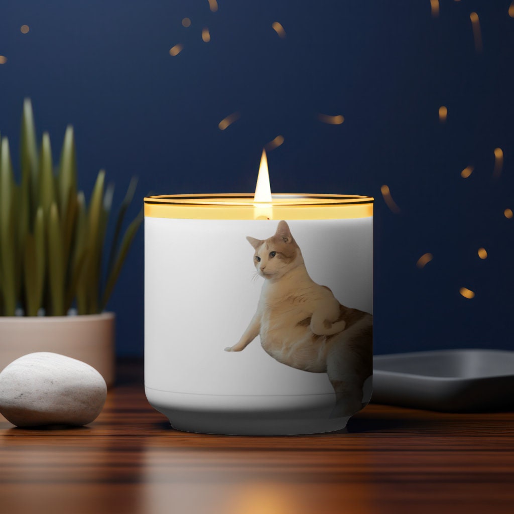 Cat Thinking Meme PNG, Thinking Cat Meme, Funny Cat Meme SVG, Chubby ...